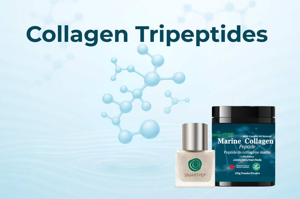 Collagen Tripeptides vs. Other Collagen: What’s the Difference ...
